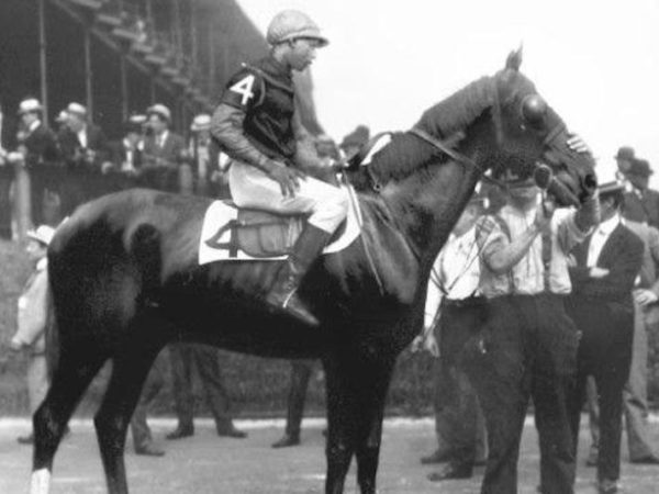Kidnapped! The Amazing and True Story of Shergar – Sports As Told By A Girl